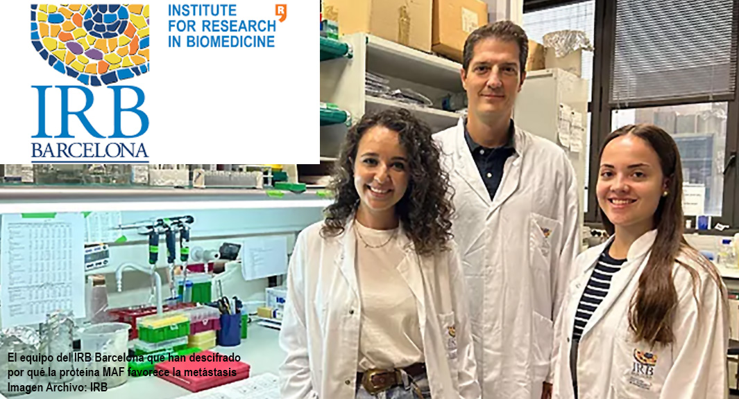 equipo IRB - Flor de VidaFlor de Vida